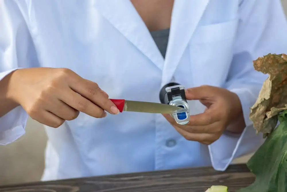 Pop Quiz: Do You Know What a Brix Refractometer Is?
