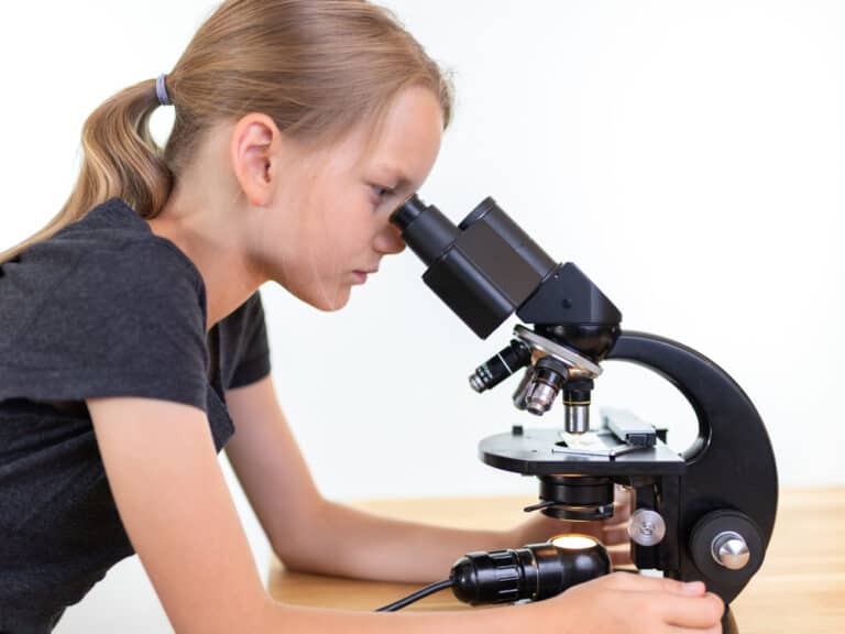 What Is a Binocular Microscope and What Are Its Benefits?