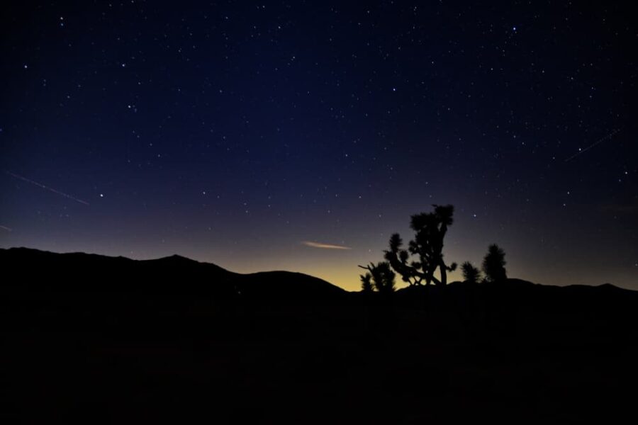 Insider Secret: Best Stargazing Spots in Joshua Tree National Park