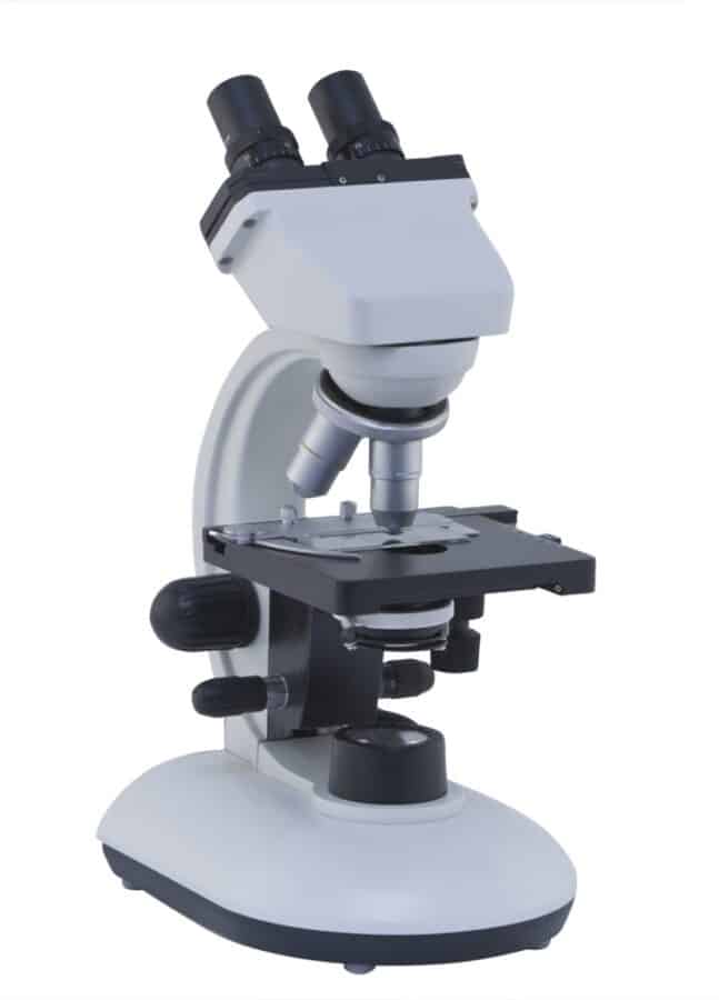 All About the Dissecting Microscope: Get A Little Closer