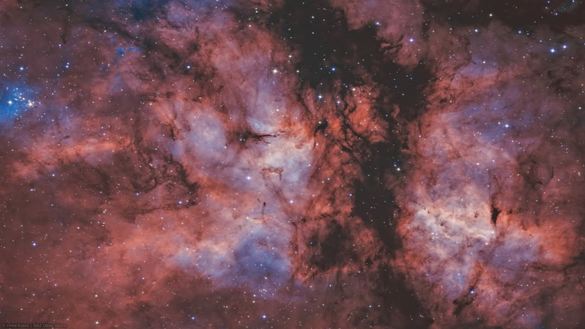 Imaging the ButterFly Nebula IC1318.